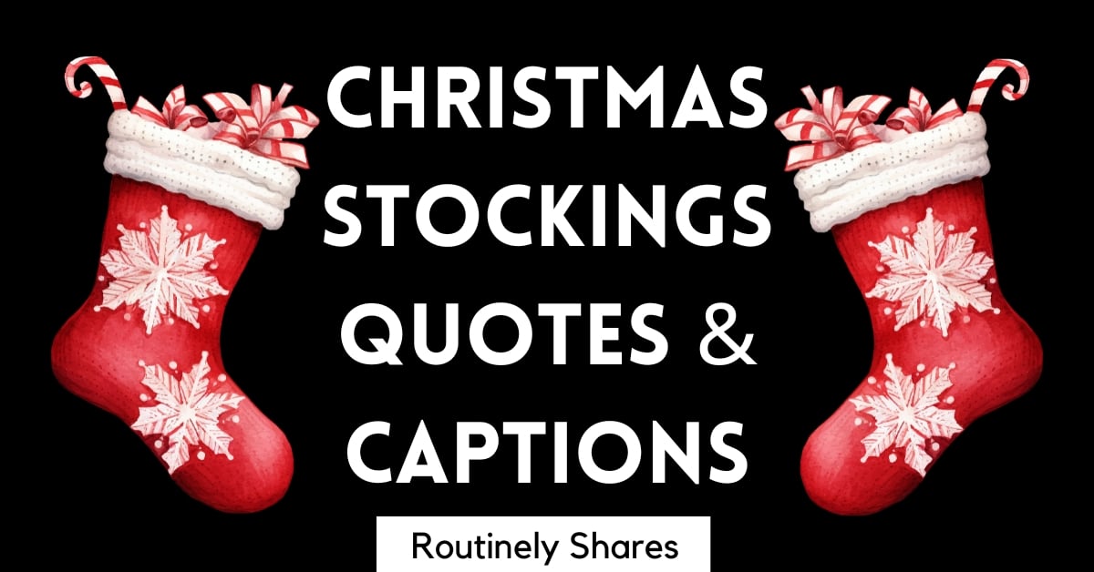 Short and Cute Christmas Stocking Quotes and Captions to Share that ...