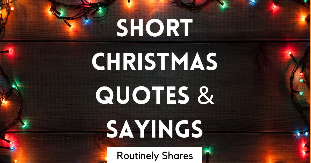 Short Aesthetic Christmas Quotes and Sayings for that Merry and Bright ...