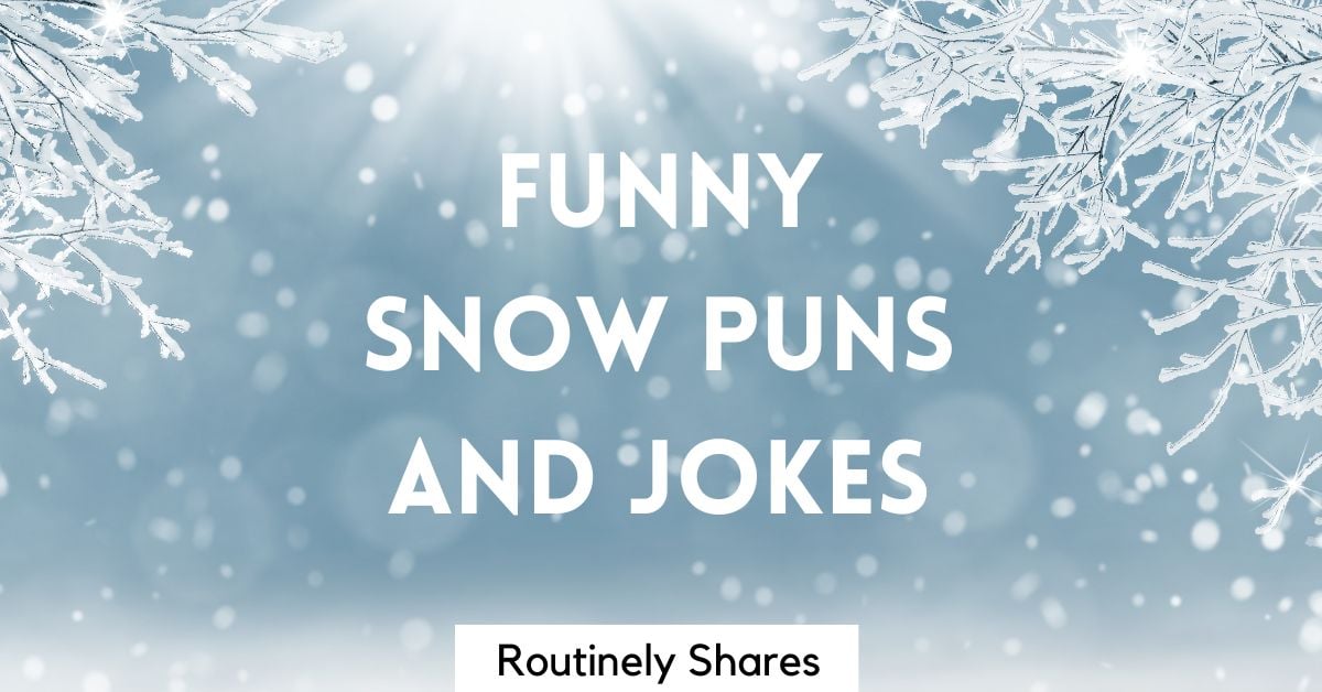 270 Funny Snow Puns, Jokes and One Liners for Winter Humor - Routinely Shares