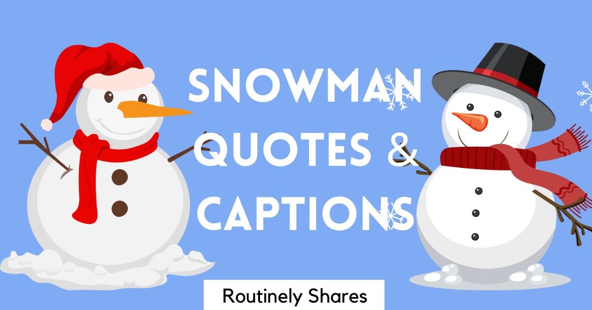 165 Funny and Short Snowman Quotes, Captions and Sayings - Routinely Shares
