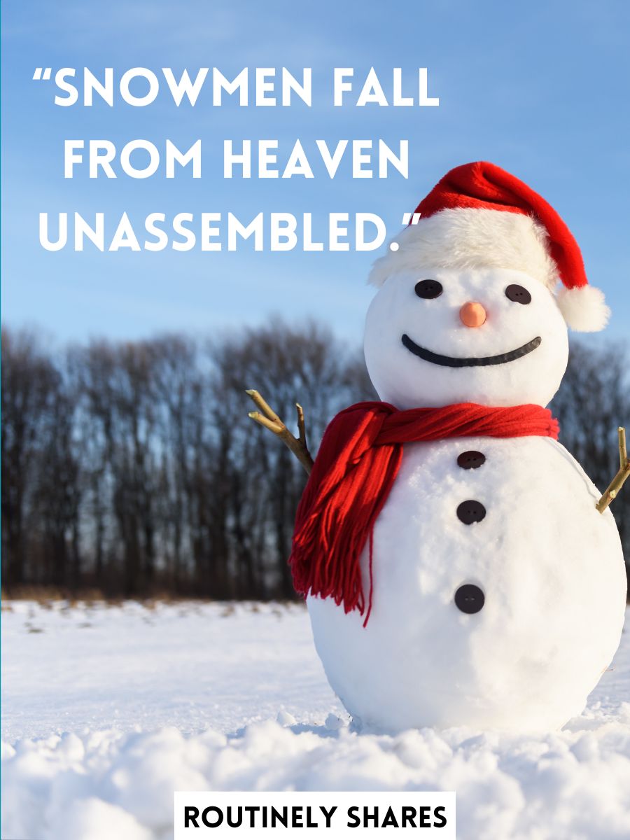 165 Funny and Short Snowman Quotes, Captions and Sayings - Routinely Shares