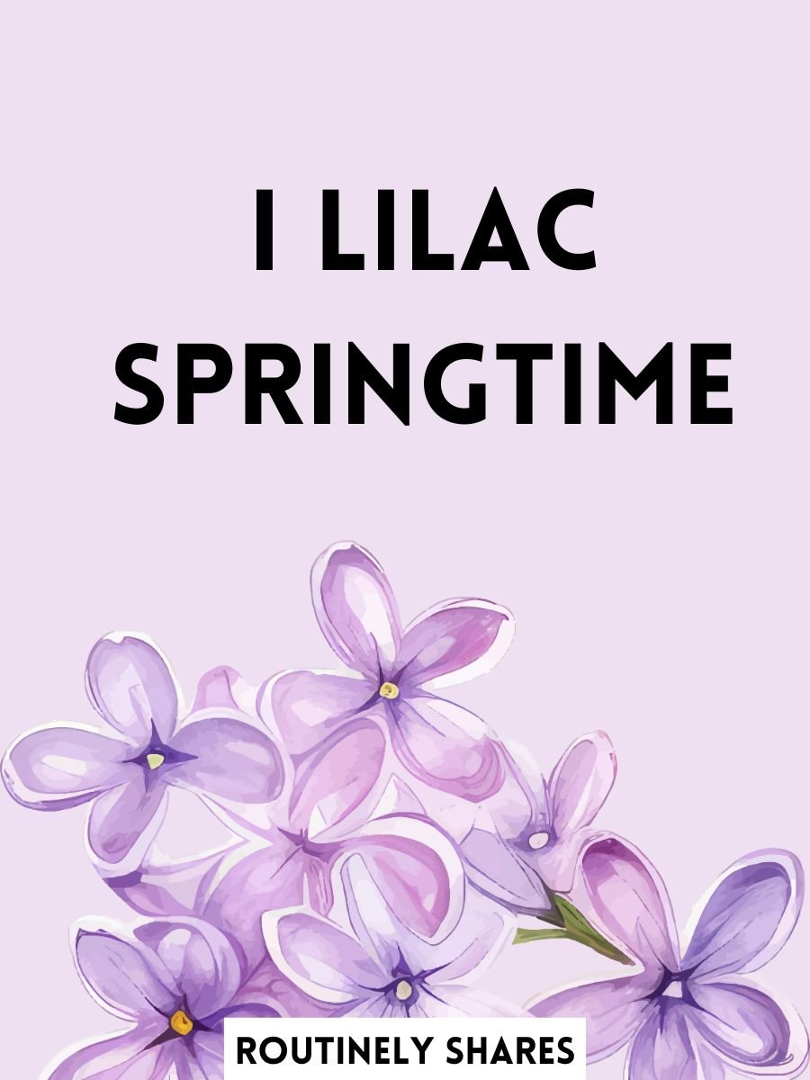 200 Funny Spring Puns, Jokes and One Liners - Routinely Shares