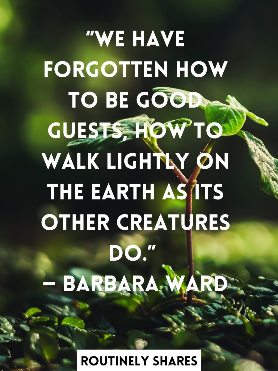 Inspirational Happy Earth Day Quotes, Messages and Captions - Routinely ...