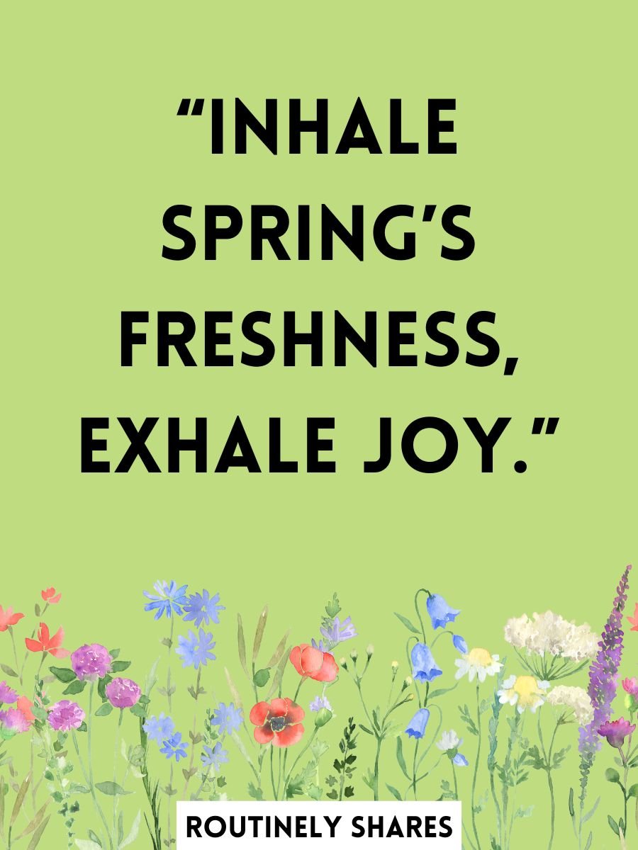 Cute and Happy Spring Sayings to Welcome the Blooming Flowers ...