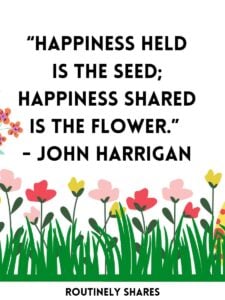 130 Joyful Quotes to Spread Happiness, Positivity and Joy - Routinely ...