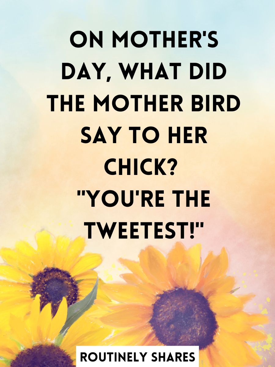 Funny Happy Mother’s Day Puns, One Liners and Jokes - Routinely Shares