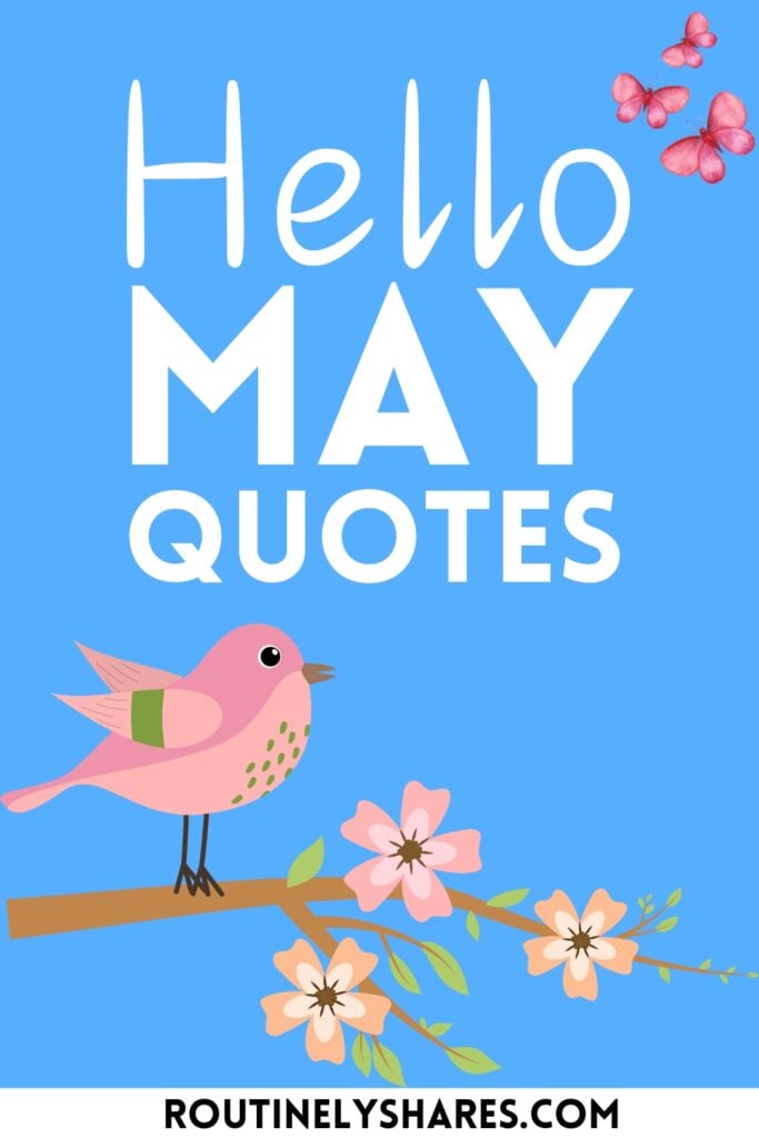 215 Hello May Quotes for that Happy to Welcome a New Month Aesthetic ...