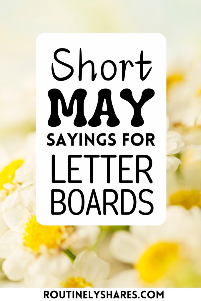 Short, Cute and Funny May Letter Board Quotes and Sayings - Routinely ...