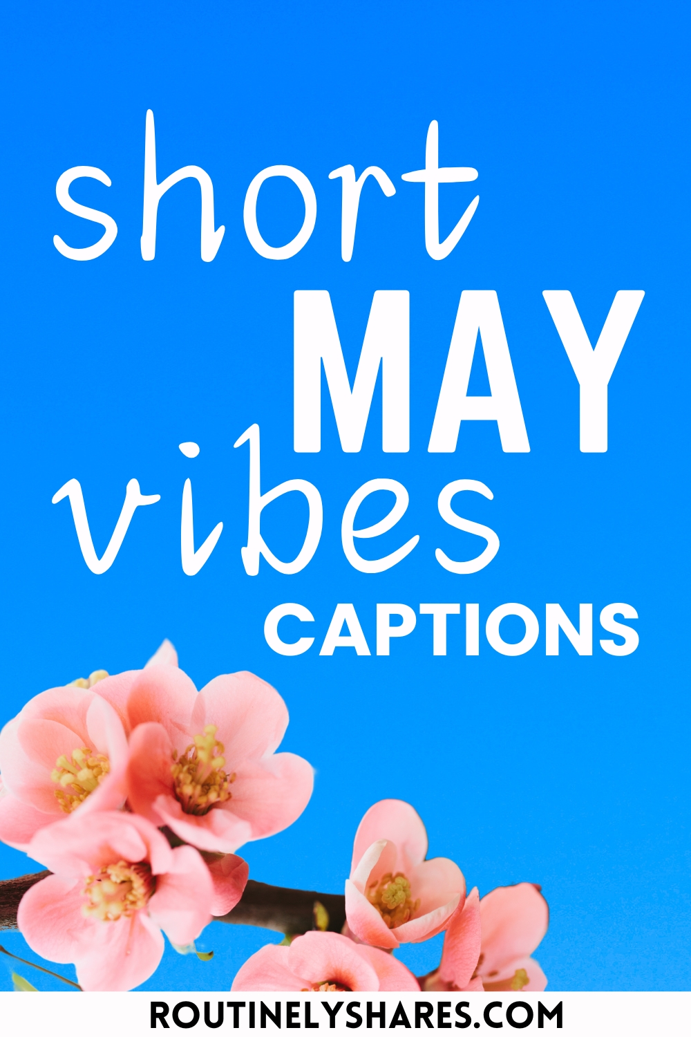The 160 Best May Captions for Instagram to Share the Spring Feels ...