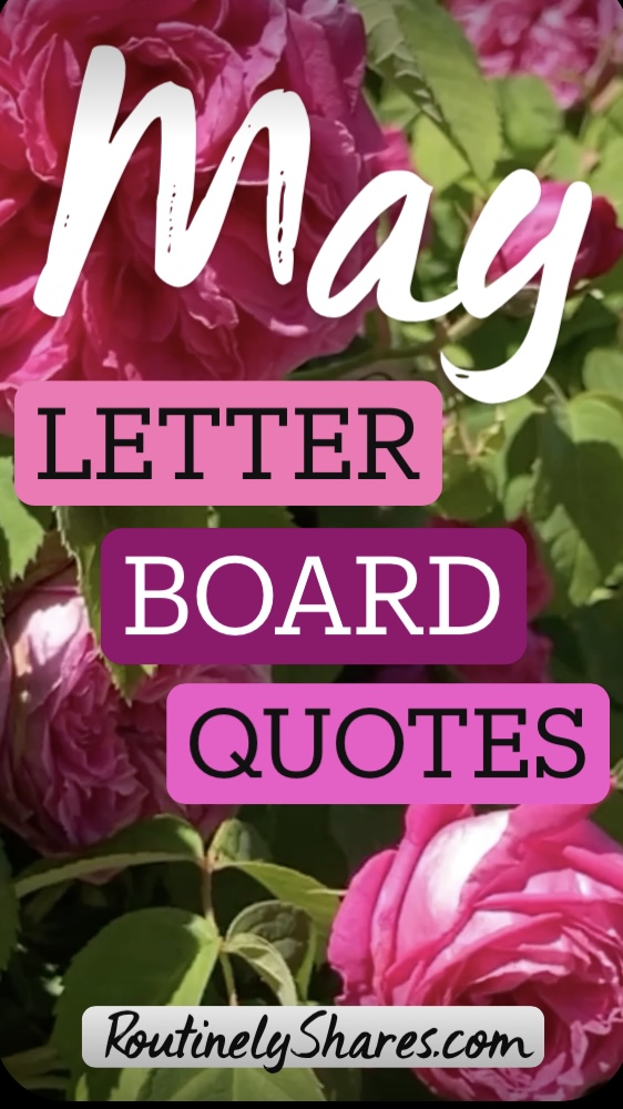 Short, Cute and Funny May Letter Board Quotes and Sayings - Routinely ...