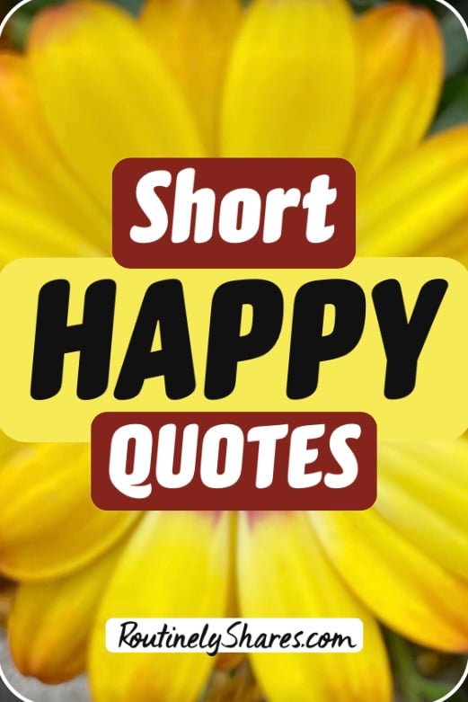 100 Short Happy Quotes for Those Positive Good Vibes - Routinely Shares