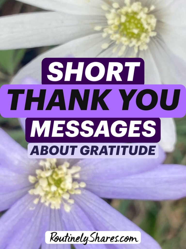 The 200 Best Thank You Messages to Show Your Gratitude and Appreciation ...