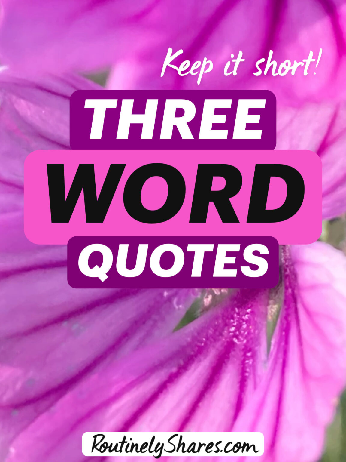 500 of the Best Three Word Quotes and Captions for that Short and Sweet ...