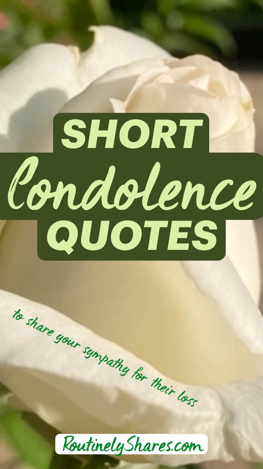 Condolence Quotes and Messages to Show Your Sincere Sympathy for Their ...
