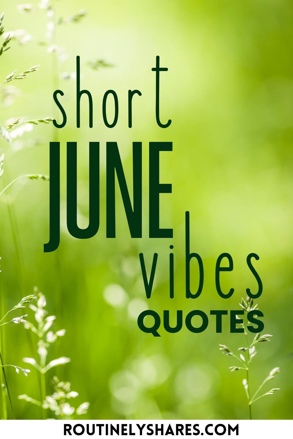 125 Hello June Quotes for that Happy to Welcome a New Month Aesthetic ...