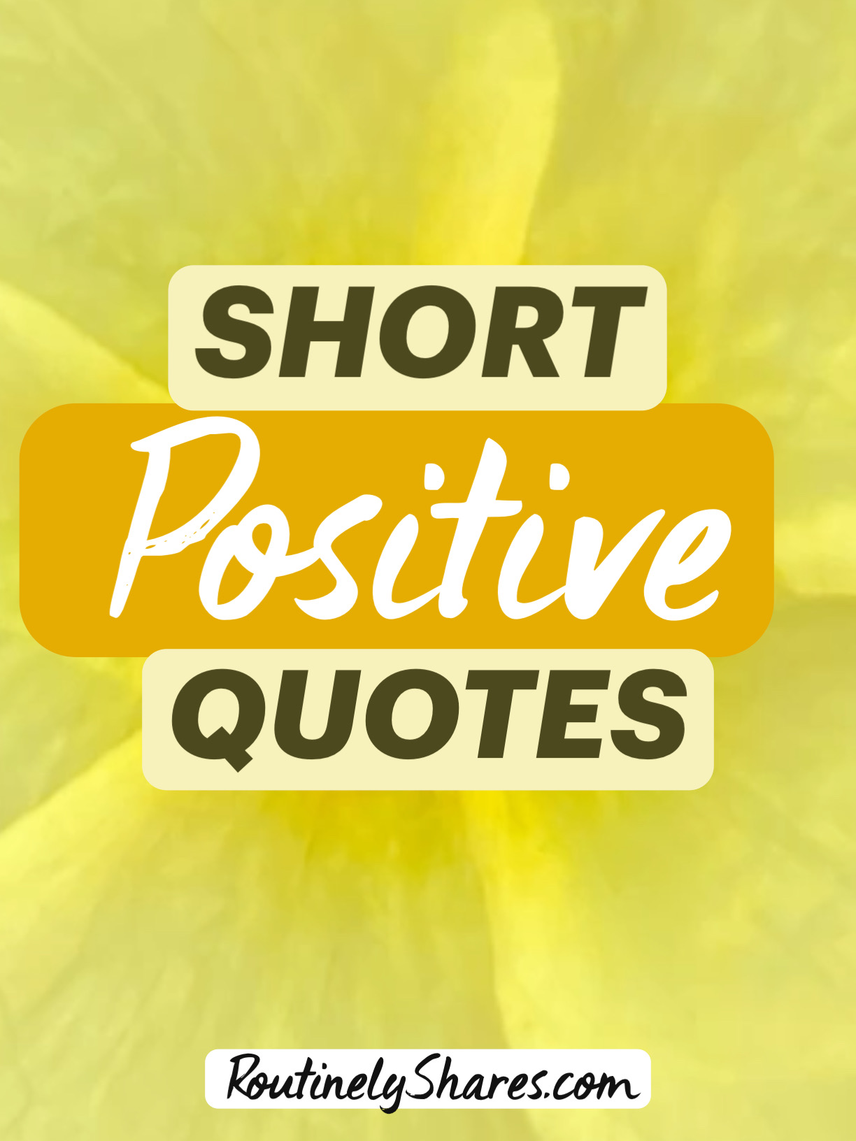 Short Positive Quotes to Add Positivity to Your Life - Routinely Shares