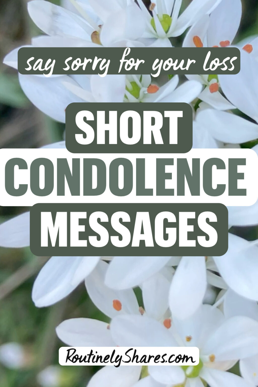 130 Heartfelt Short Condolence Messages to Show Your Sympathy for Their ...