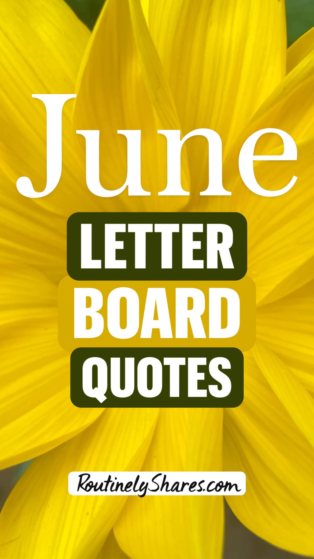 Short Hello June Letter Board Quotes and Sayings to Welcome Summer ...