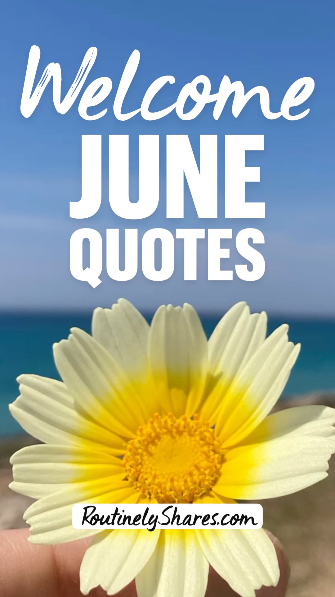 125 Hello June Quotes for that Happy to Welcome a New Month Aesthetic ...