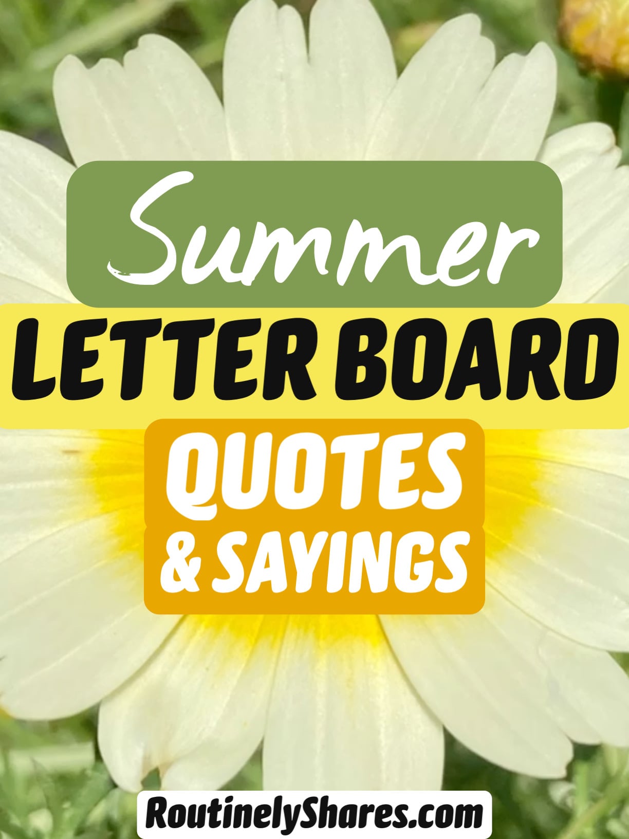 Keep it Clever with the 280 Best Summer Letter Board Quotes, Sayings ...