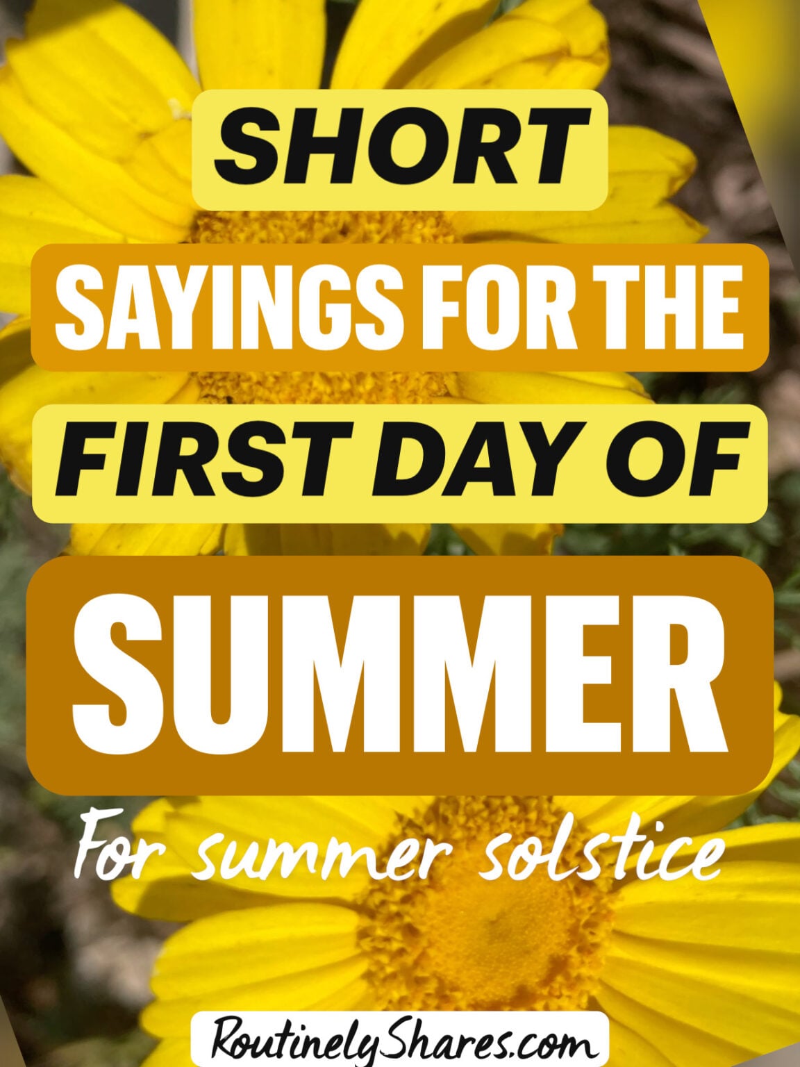 100 Short Summer Solstice Sayings and Quotes to Welcome the First Day ...
