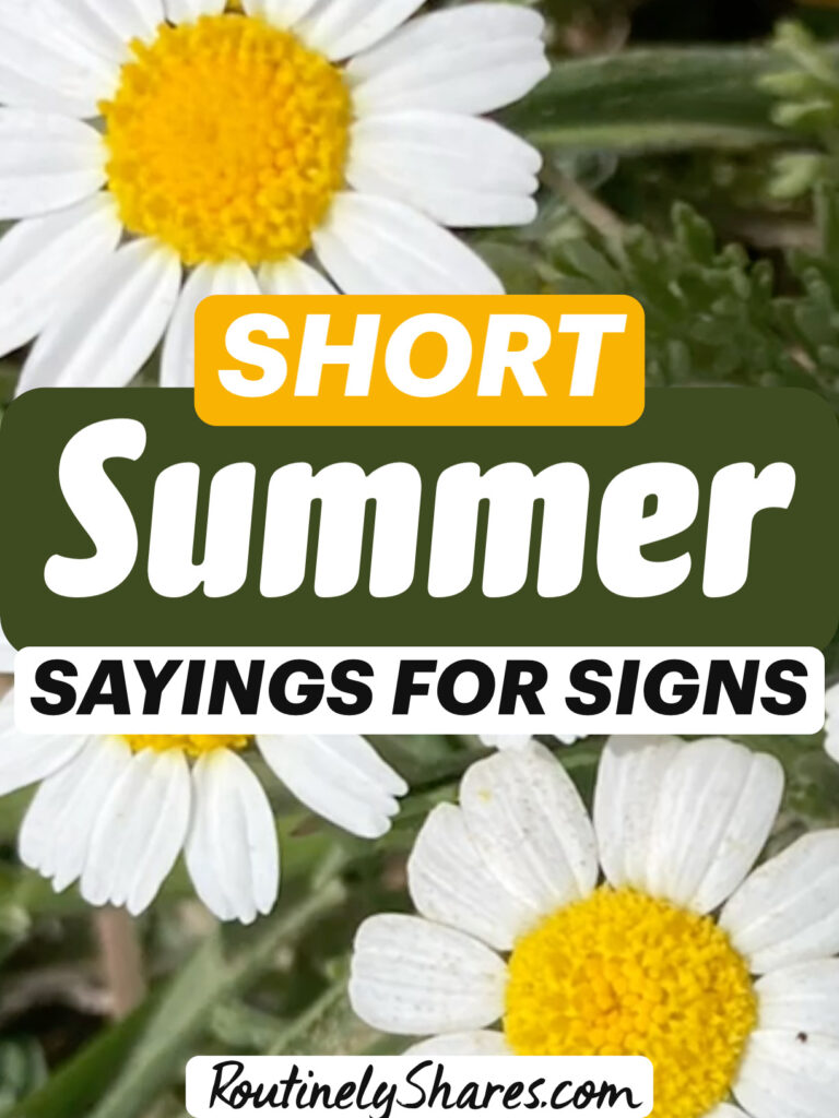 100 Cute Summer Sayings for Signs and Kids for that Summery Vibe ...