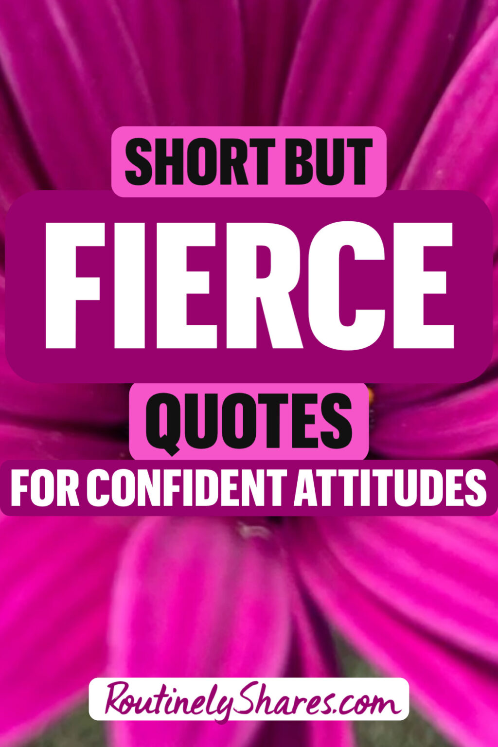 120 Short Fierce Attitude Quotes for that Baddie Aesthetic - Routinely ...