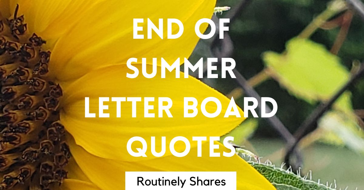 End of Summer Letter Board Quotes and Sayings to Say Goodbye ...