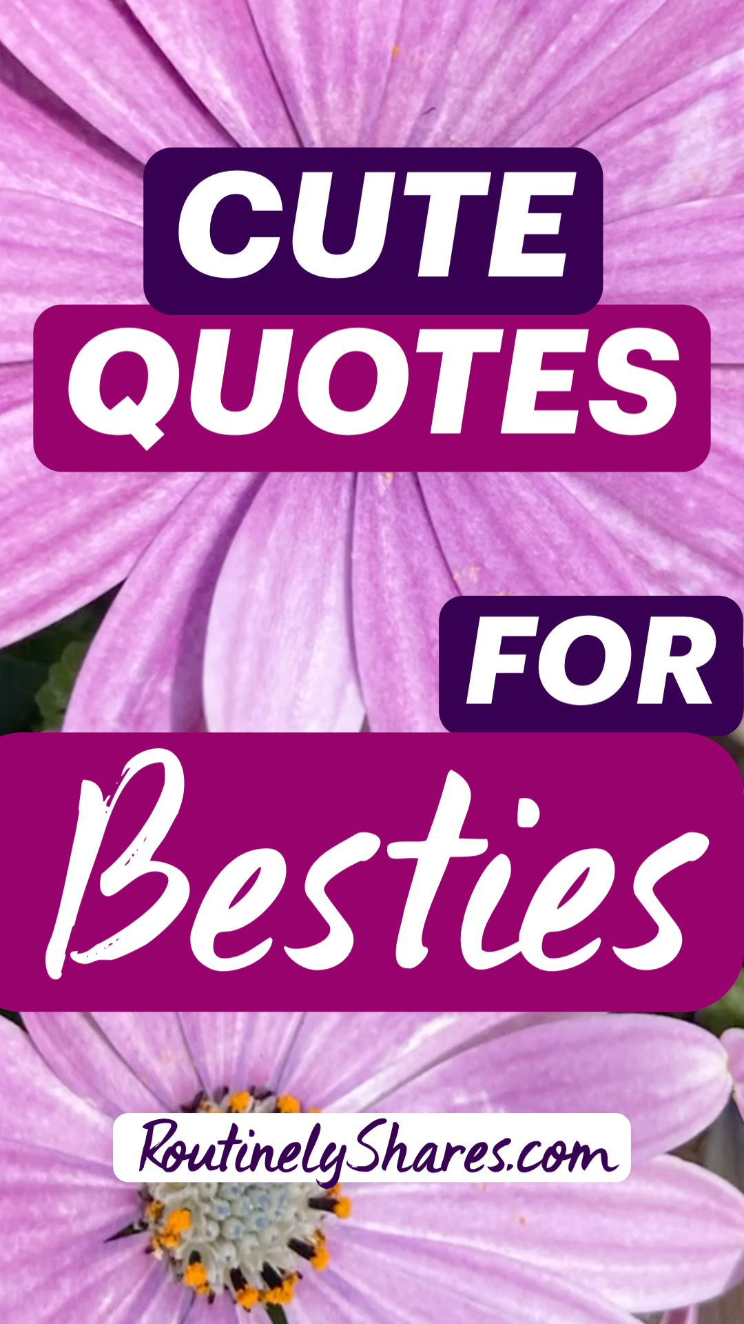 100 Short and Cute Best Friend Quotes for that BFF Aesthetic ...