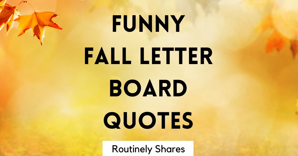 Funny Fall Letter Board Quotes and Sayings to Add Autumn Humor ...