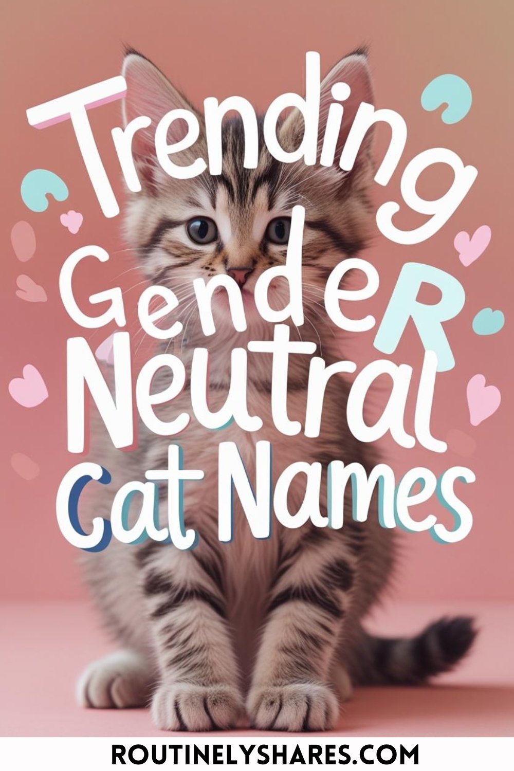 215 Trending and Unique Gender Neutral Cat Names for that Unisex ...