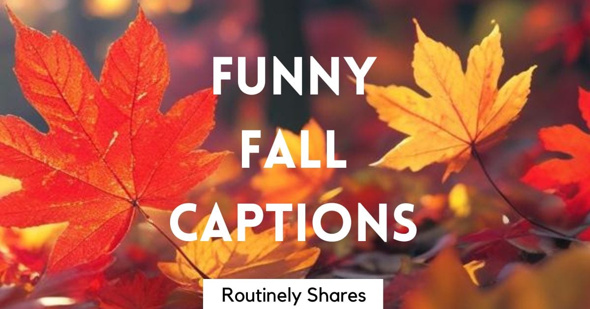 300 Funny Fall Captions for Autumn Humor - Routinely Shares