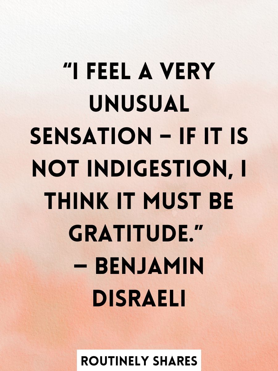 Funny Gratitude Quotes and Hilarious Feeling Thankful Sayings ...