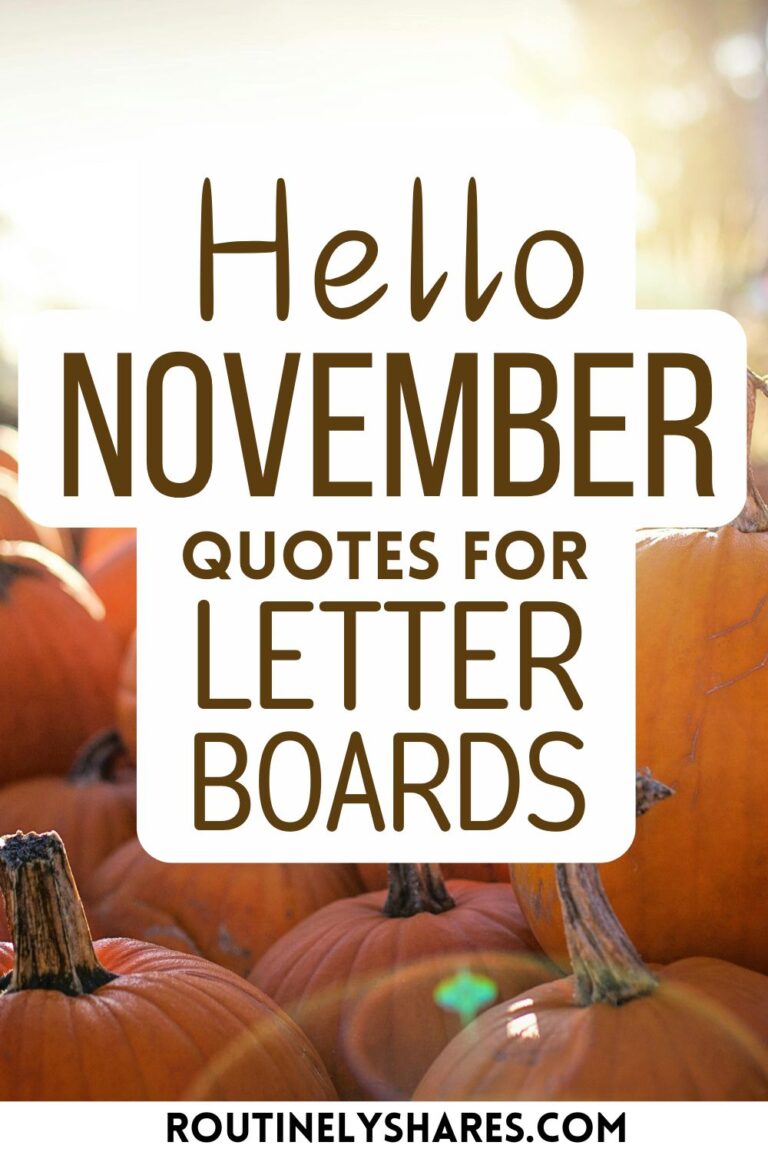 The 180 Short Happy November Letter Board Quotes and Sayings ...