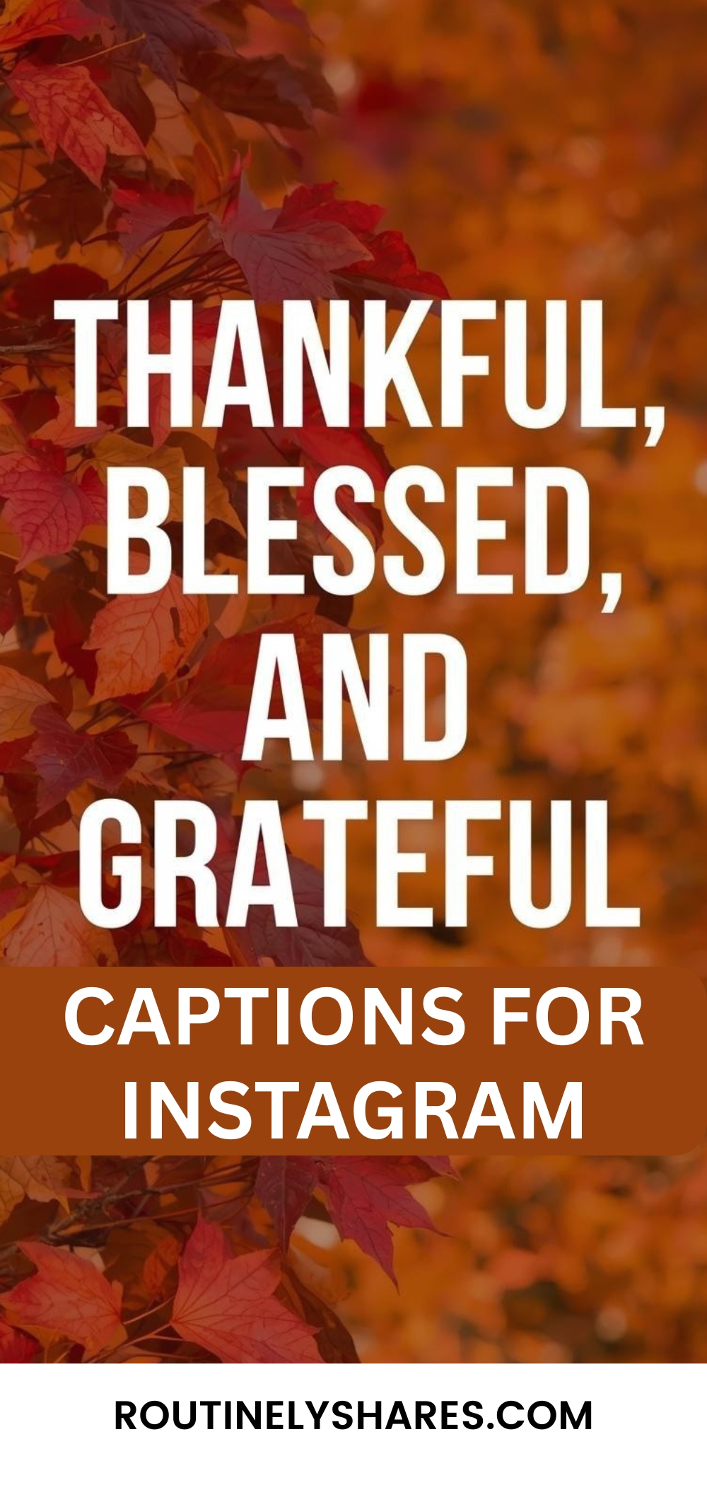 The 250 Most Thankful Captions for Those Feeling Grateful and Blessed ...