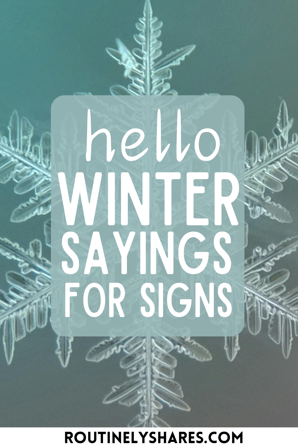 300 Cute and Short Winter Sayings for those Cozy Vibes - Routinely Shares