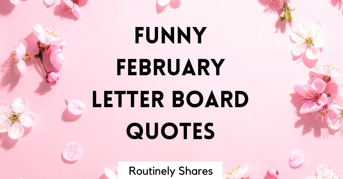 Funny February Letter Board Quotes and Sayings - Routinely Shares