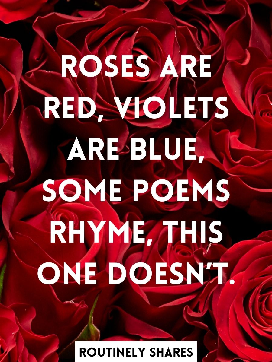 Funny Roses are Red Violets are Blue Poems for a Laugh - Routinely Shares