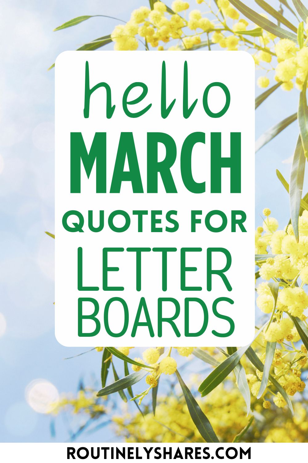 The 150 Best March Letter Board Quotes and Sayings - Routinely Shares