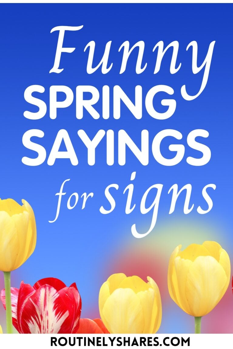 Funny Spring Sayings to Add Humor to the Changing Season - Routinely Shares